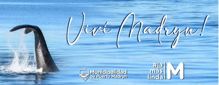 Mar, historia y sabor: Descubre Rawson, la capital de Chubut que ...
